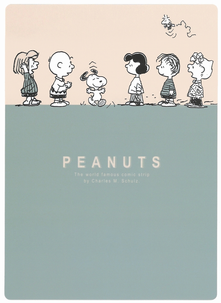 4730125 スヌーピー両面下敷き フレンズ＆ブラザーズ 雑貨のFULTAC（フルタック） 問屋・仕入れ・卸・卸売の専門【仕入れならNETSEA】