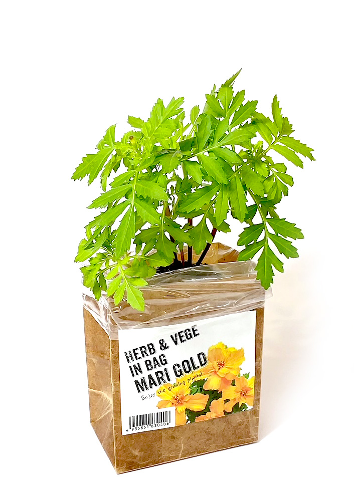 【栽培キット】HERB & VEGE IN BAG 種類は18種類！！ | 卸売・ 問屋・仕入れの専門サイト【NETSEA】