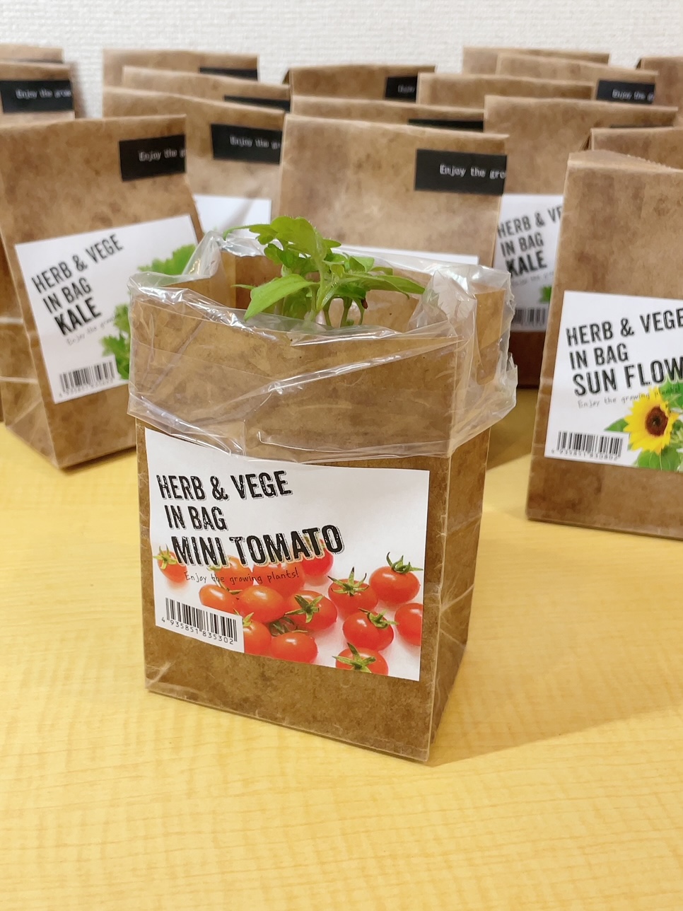 【栽培キット】HERB & VEGE IN BAG 種類は18種類！！ | 卸売・ 問屋・仕入れの専門サイト【NETSEA】