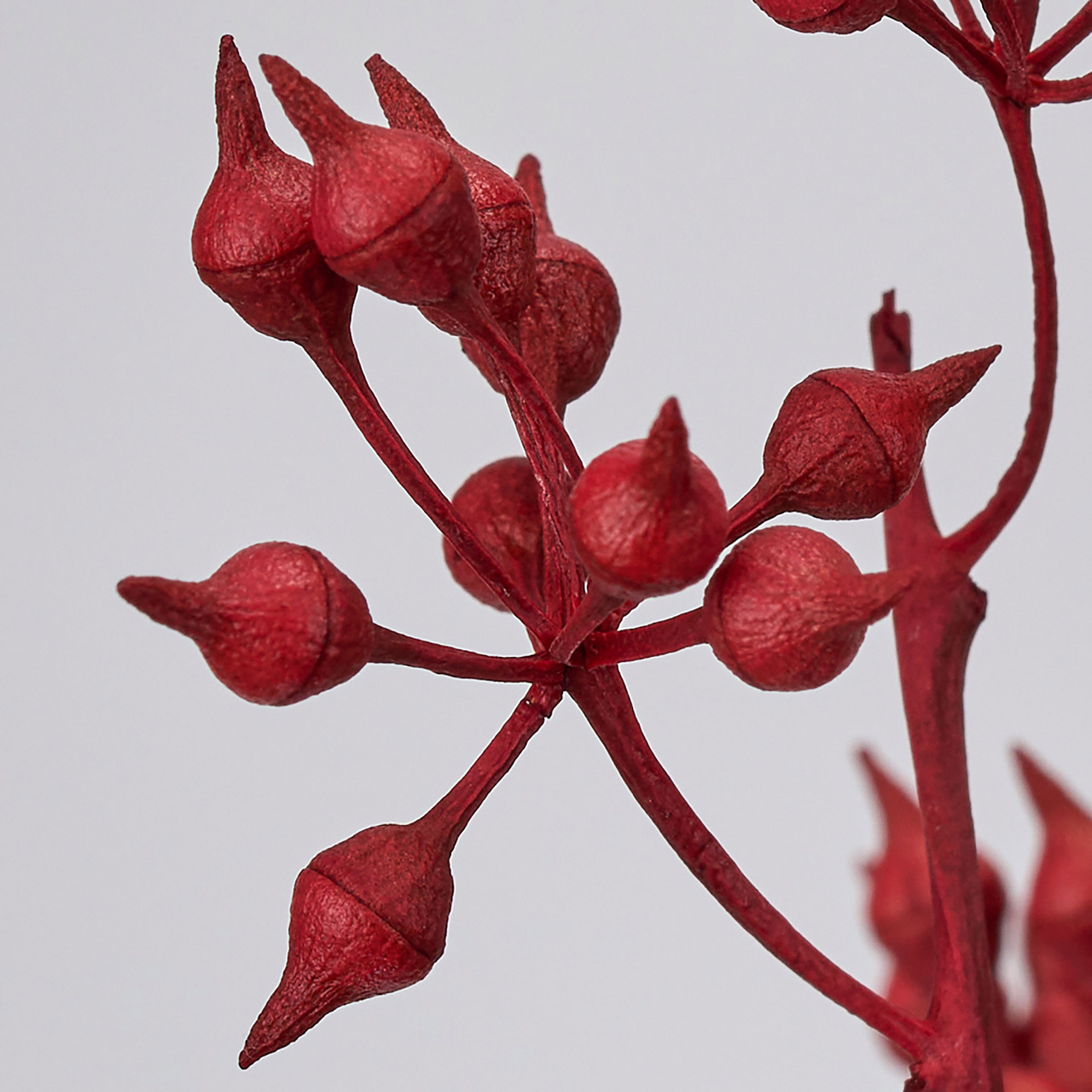 【2023AW新作】ワタカラ レッド 天然素材 1袋30個入り 株式会社 東京堂 問屋・仕入れ・卸・卸売の専門【仕入れならNETSEA】