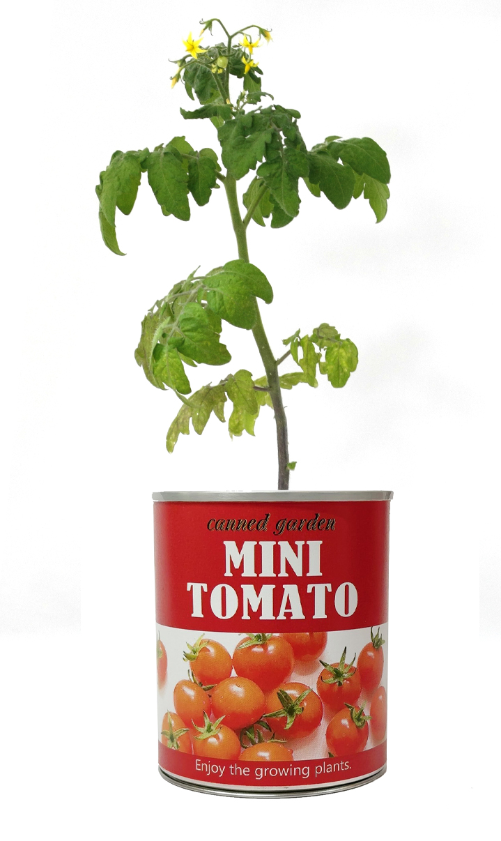 【栽培キット】Canned garden Lサイズ 株式会社 ナガクラ 問屋・仕入れ・卸・卸売の専門【仕入れならNETSEA】