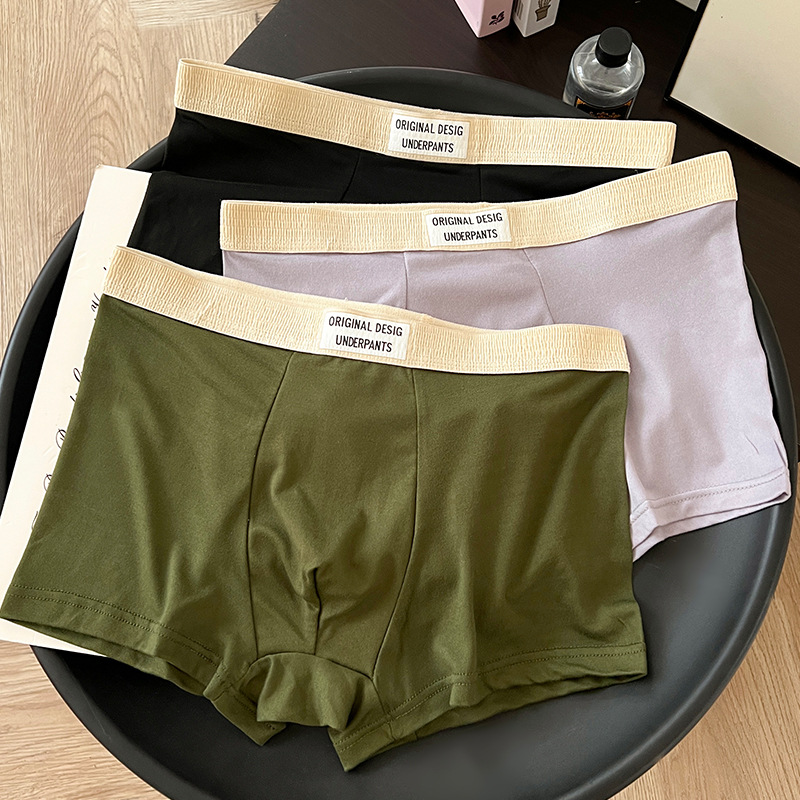 2024新作 メンズ下着 メンズパンツ 男性用パンツ ブリーフ ショットパンツL～4XL 5色 | 卸売・ 問屋・仕入れの専門サイト【NETSEA】