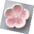 【安心の日本製！ほっこりかわいい！箸置き】小梅箸置（赤） | 卸売・ 問屋・仕入れの専門サイト【NETSEA】