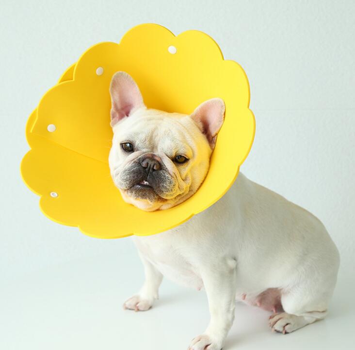 ペット用品★エリザベス ペット用防護首輪★4色 XS-L 恵星 株式会社 問屋・仕入れ・卸・卸売の専門【仕入れならNETSEA】