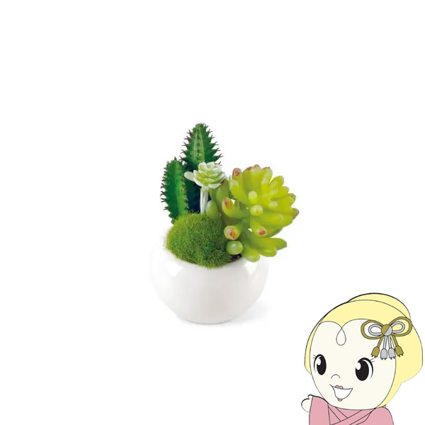 キシマ Succulent Refrerium サキュレントリフレリウム 消臭アーティフィシャルグリーン KH-60983 | 卸売・ 問屋・仕入れの専門サイト【NETSEA】