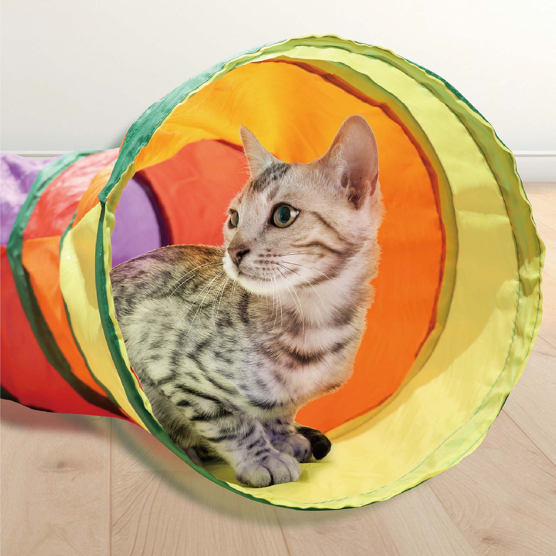 折りたたみ式キャットカーブトンネル AXL-758 | 卸売・ 問屋・仕入れの専門サイト【NETSEA】