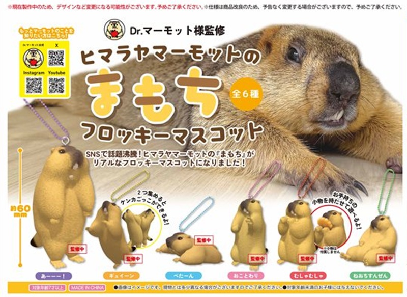 ヒマラヤマーモットのまもち フロッキーマスコット | 卸売・ 問屋・仕入れの専門サイト【NETSEA】