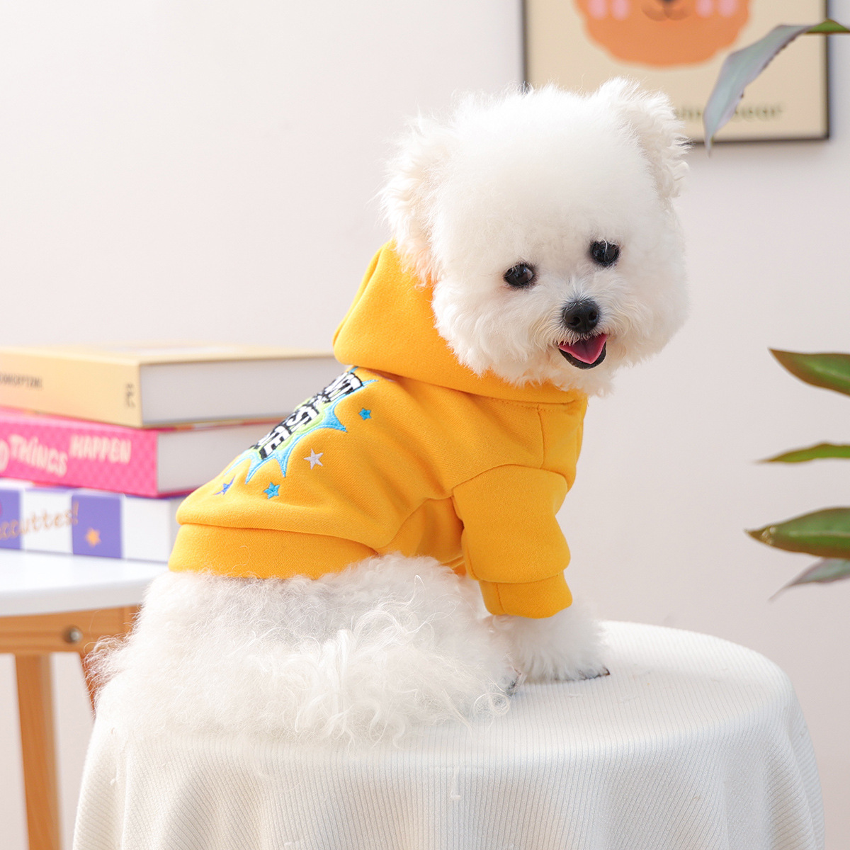 2025★ペット用品★ペット服★犬服★可愛い★小型犬服★XS～XL | 卸売・ 問屋・仕入れの専門サイト【NETSEA】