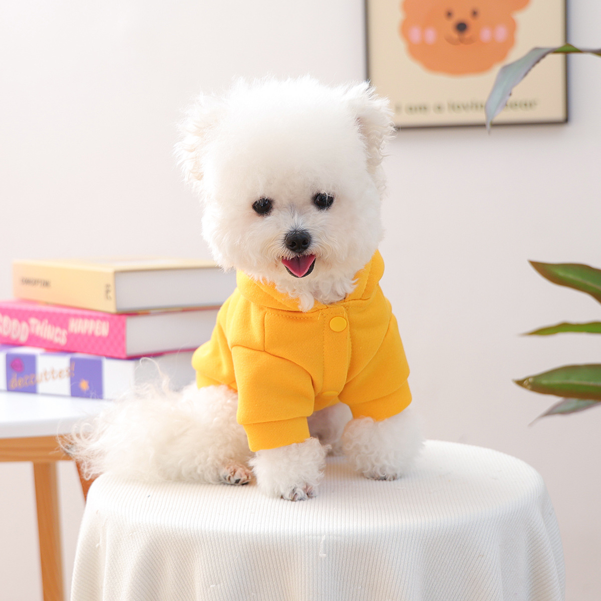 2025★ペット用品★ペット服★犬服★可愛い★小型犬服★XS～XL | 卸売・ 問屋・仕入れの専門サイト【NETSEA】