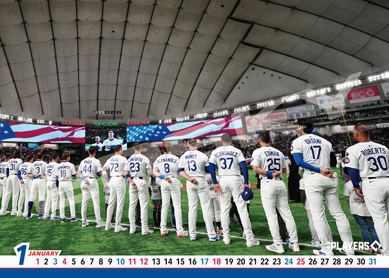 カレンダー 2026年 ドジャース（卓上） CL-556 | 卸売・ 問屋・仕入れの専門サイト【NETSEA】