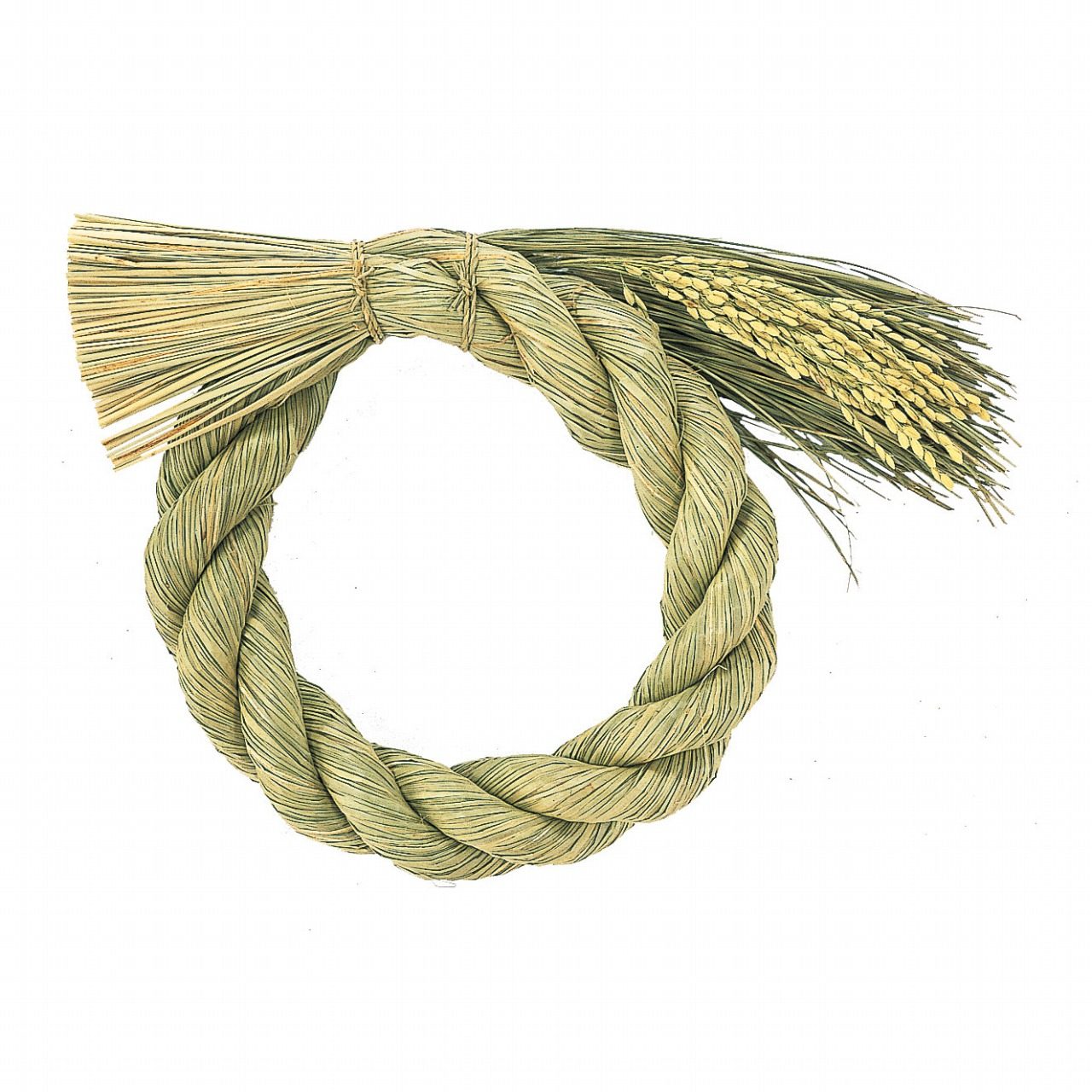 稲穂丸〆 特大 ベース しめ縄 株式会社 東京堂 問屋・仕入れ・卸・卸売の専門【仕入れならNETSEA】