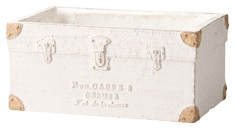 ジェルメワイドM ガーデニング/ポット/鉢/ピック/植木 | 卸売・ 問屋・仕入れの専門サイト【NETSEA】