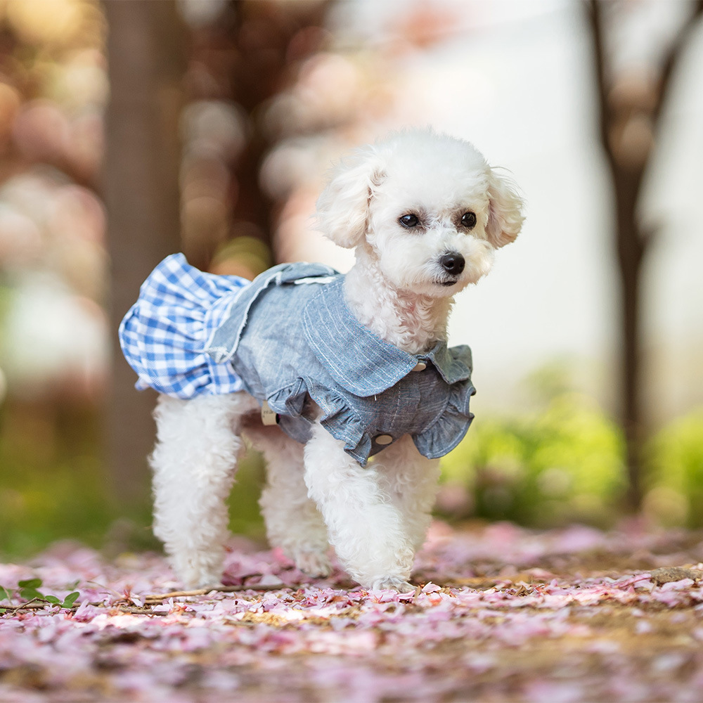 テディ小型犬用 デニムスカート 春夏用 通気性 青白チェック XS | 卸売・ 問屋・仕入れの専門サイト【NETSEA】