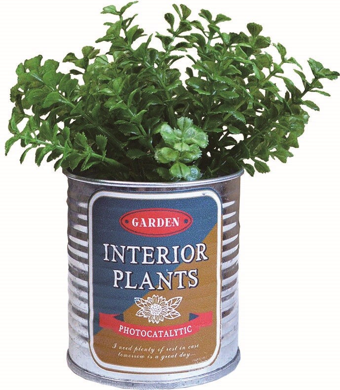 TIN缶グリーン ファンシェイプ 雑貨のFULTAC（フルタック） 問屋・仕入れ・卸・卸売の専門【仕入れならNETSEA】