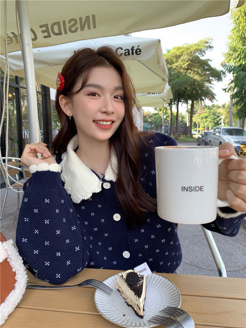 2023年秋冬INS 新作 設計感 ニット トップス カーディガン カジュアル系 TASSA 問屋・仕入れ・卸・卸売の専門【仕入れならNETSEA】