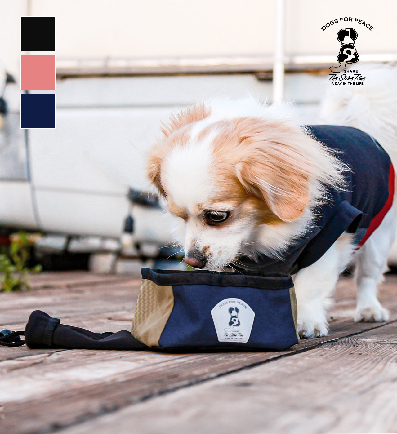 【DOGS】パッカブルフィールドドッグボウル (3カラー) DOGS FOR PEACE / ドッグスフォーピース クレエ | 卸売・ 問屋・仕入れの専門サイト【NETSEA】