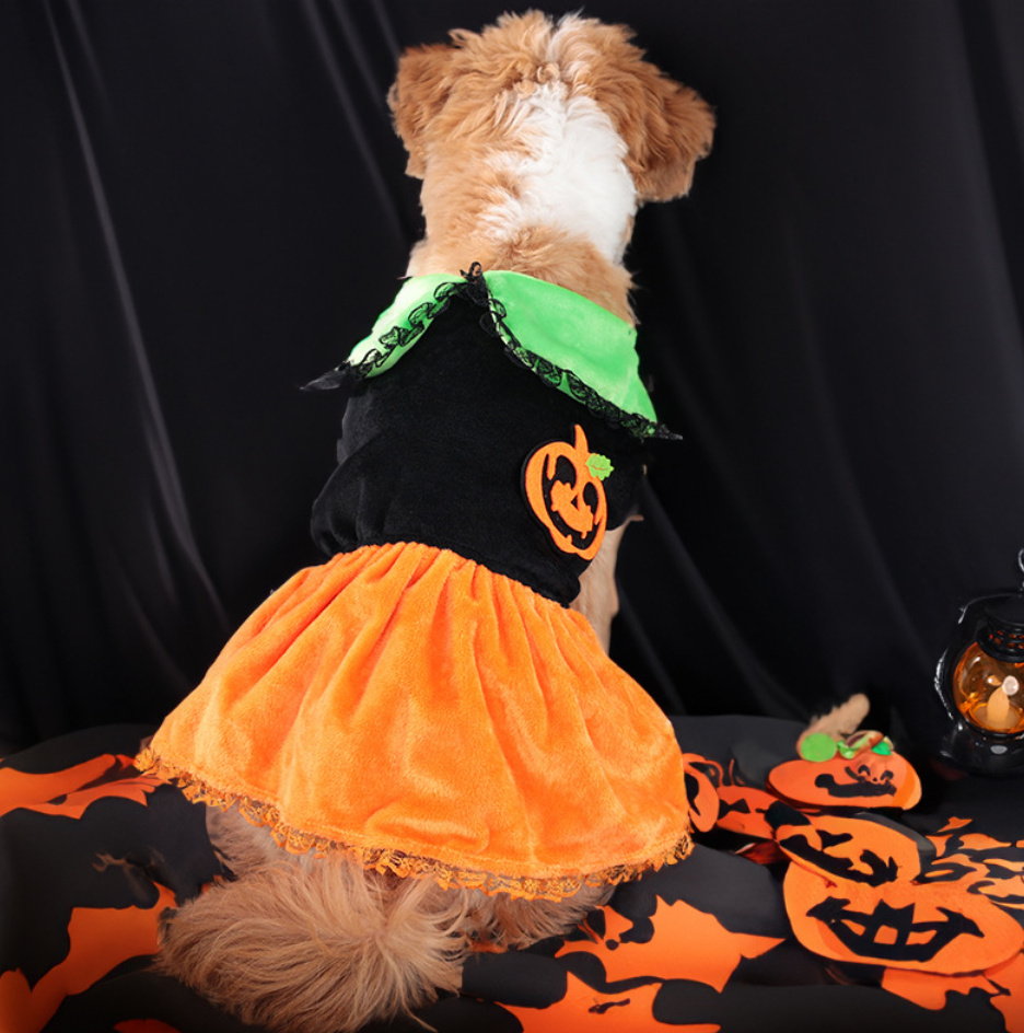 【24新作】 犬猫の服 ドッグウェア 小型犬服 超可愛い ペット服 犬服 猫服 ペット用品 ネコ雑貨 ハロウィン エスペランス 合同会社 問屋・仕入れ・卸・卸売の専門【仕入れならNETSEA】