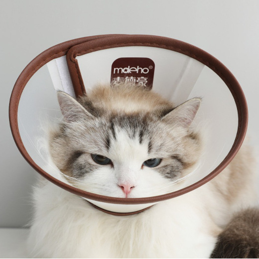 エリザベスカラー ペット防護 透明A4 | 卸売・ 問屋・仕入れの専門サイト【NETSEA】