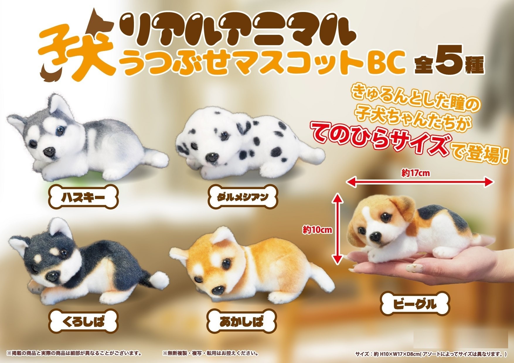 リアルアニマル子犬うつぶせマスコットBC | 卸売・ 問屋・仕入れの専門サイト【NETSEA】