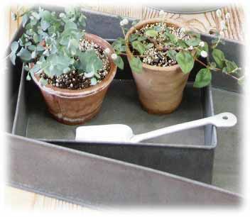 SSH： ガルバナイズ【クランプレクタングラーボックス】 株式会社 NKT 問屋・仕入れ・卸・卸売の専門【仕入れならNETSEA】