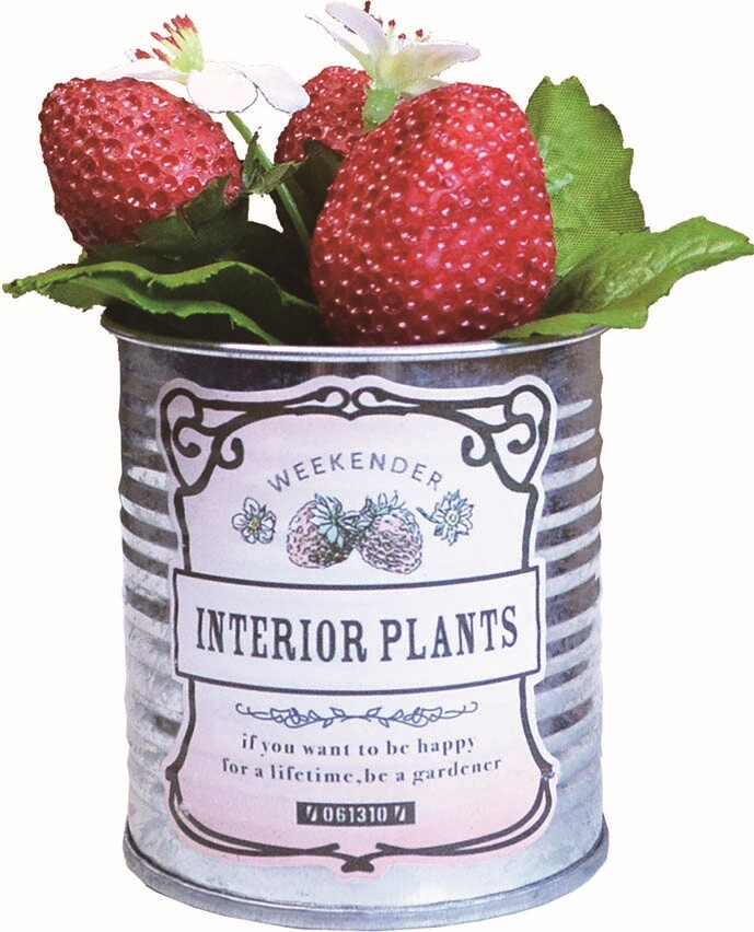 TIN缶グリーン ストロベリー 雑貨のFULTAC（フルタック） 問屋・仕入れ・卸・卸売の専門【仕入れならNETSEA】