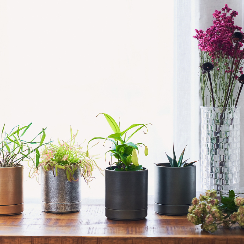 ホワイエ MC円柱皿付メタルecoポット H13.5cm パディス ガーデンMALL | 卸売・ 問屋・仕入れの専門サイト【NETSEA】