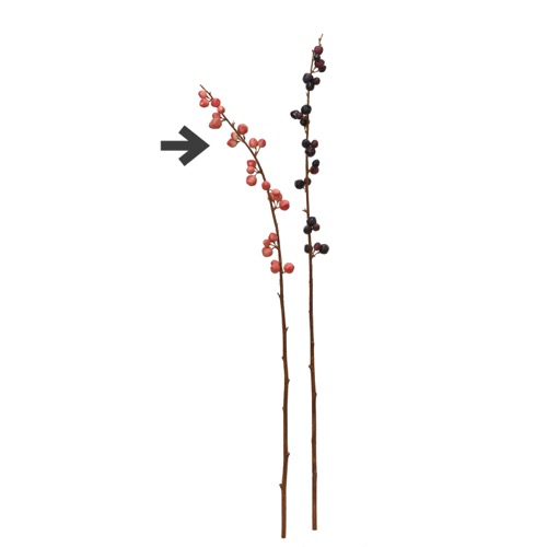 A－47879 ベリースプレー ＃002 レッド 松村工芸 株式会社 問屋・仕入れ・卸・卸売の専門【仕入れならNETSEA】