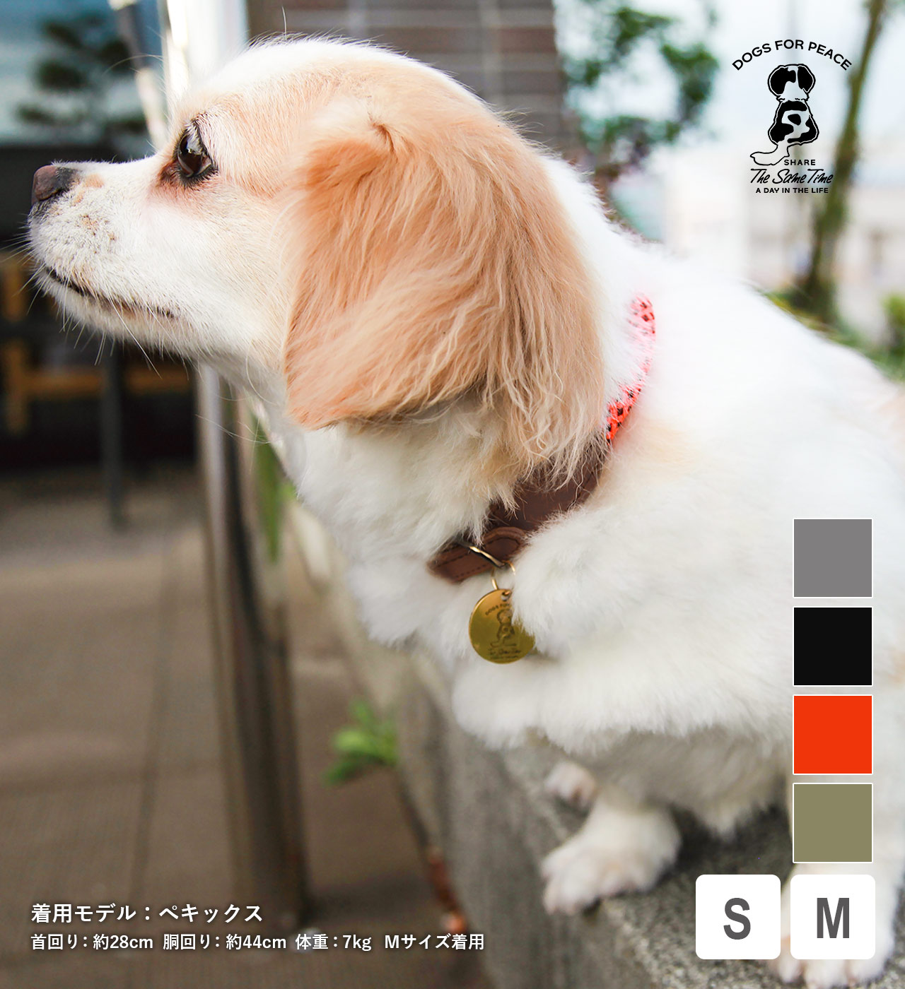 【DOGS】クライミングロープカラー (2サイズ 4カラー) DOGS FOR PEACE / ドッグスフォーピース | 卸売・ 問屋・仕入れの専門サイト【NETSEA】