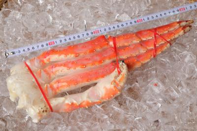 たらば蟹肩 ボイルタラバシュリンク タラバ肩グロス大 1kg | 卸売・ 問屋・仕入れの専門サイト【NETSEA】