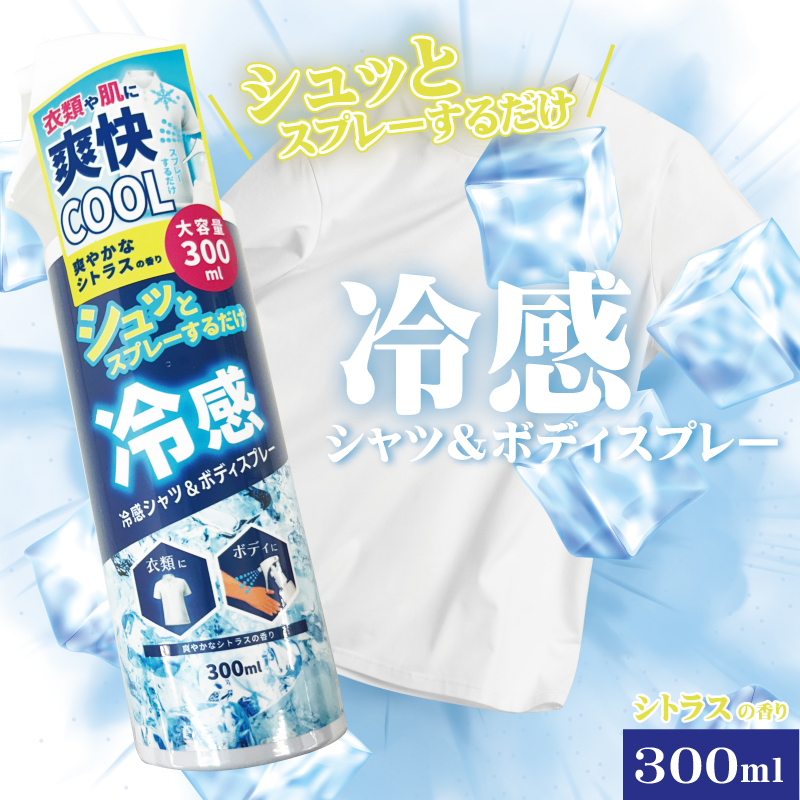 冷感シャツ＆ボディスプレー 300ml IT-2411-04 | 卸売・ 問屋・仕入れの専門サイト【NETSEA】