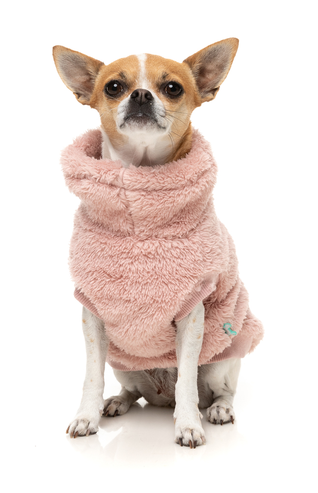 タートル テディ25 セーター ブロッサム ピンク | 卸売・ 問屋・仕入れの専門サイト【NETSEA】