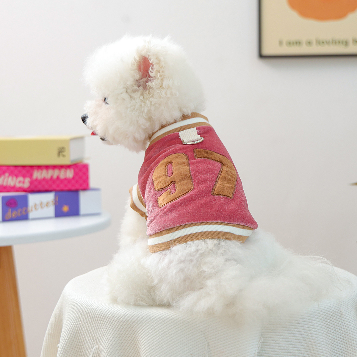 2025秋冬新作】ペット服 小型犬服 犬服 猫服 超可愛い ドッグウエア ペット用品 ネコ雑貨 JQ | 卸売・ 問屋・仕入れの専門サイト ...